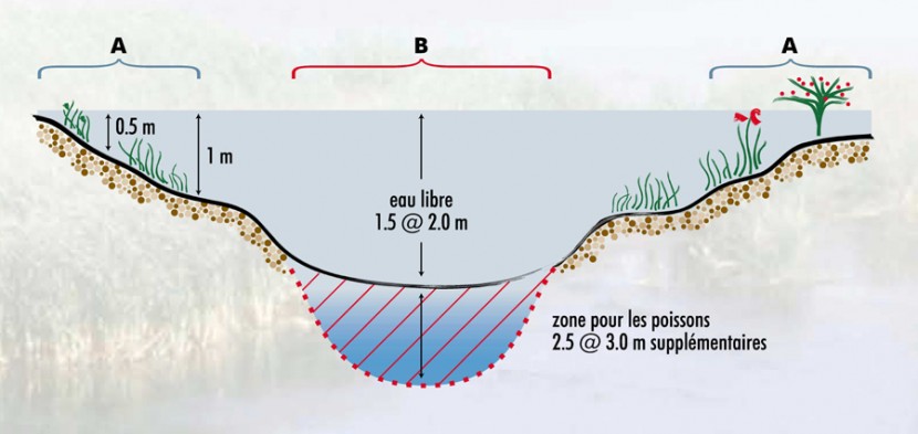 Construction d'étang et aménagement de lac | Canadianpond