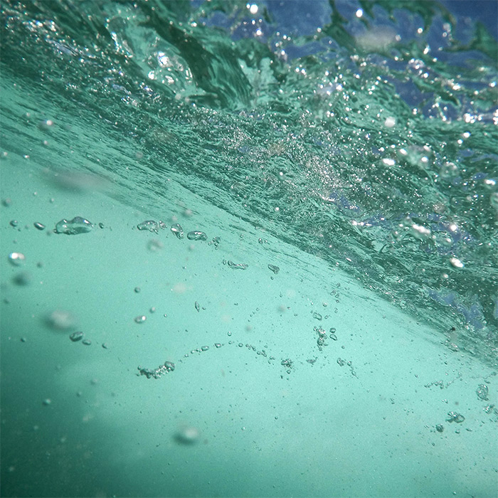 Aquatic life in winter: winterize your pond, lake - Canadian Pond