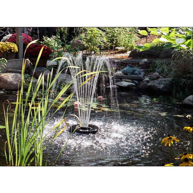 Taking care of your water garden - Canadian Pond