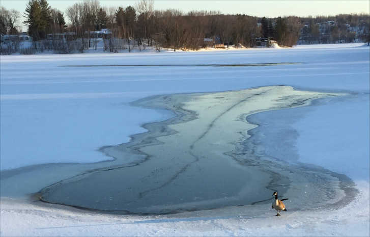 Canadian Pond : aération, traitements d'eau, fontaines, déglaceurs