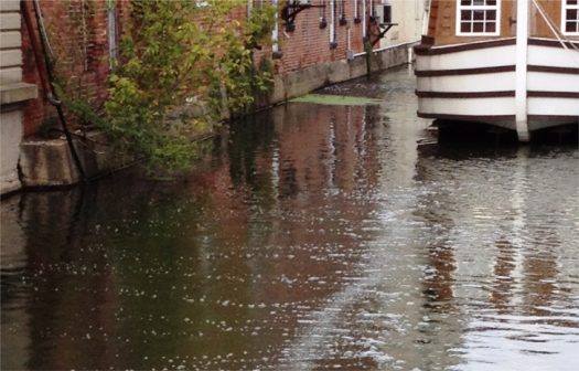 Ensuring Water Quality in Narrow, Shallow Canals - Canadian Pond