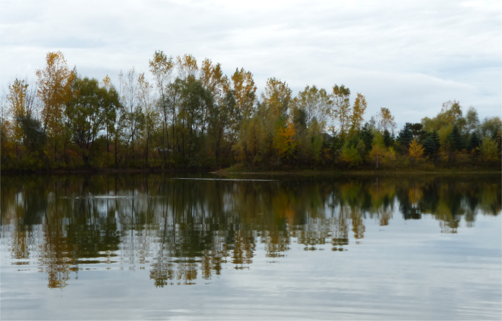 Swimmer's Itch (Cercarial Dermatitis) - Canadian Pond