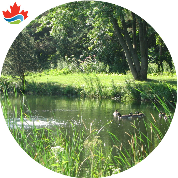 Fish Habitat: Does Aeration Heat Up the Pond? - Canadian Pond